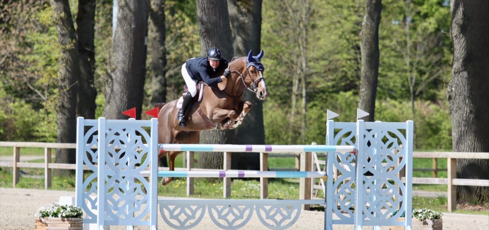 Harrie Wiering siegt im GP of Riesenbeck, Eoin McMahon reitet jetzt ...