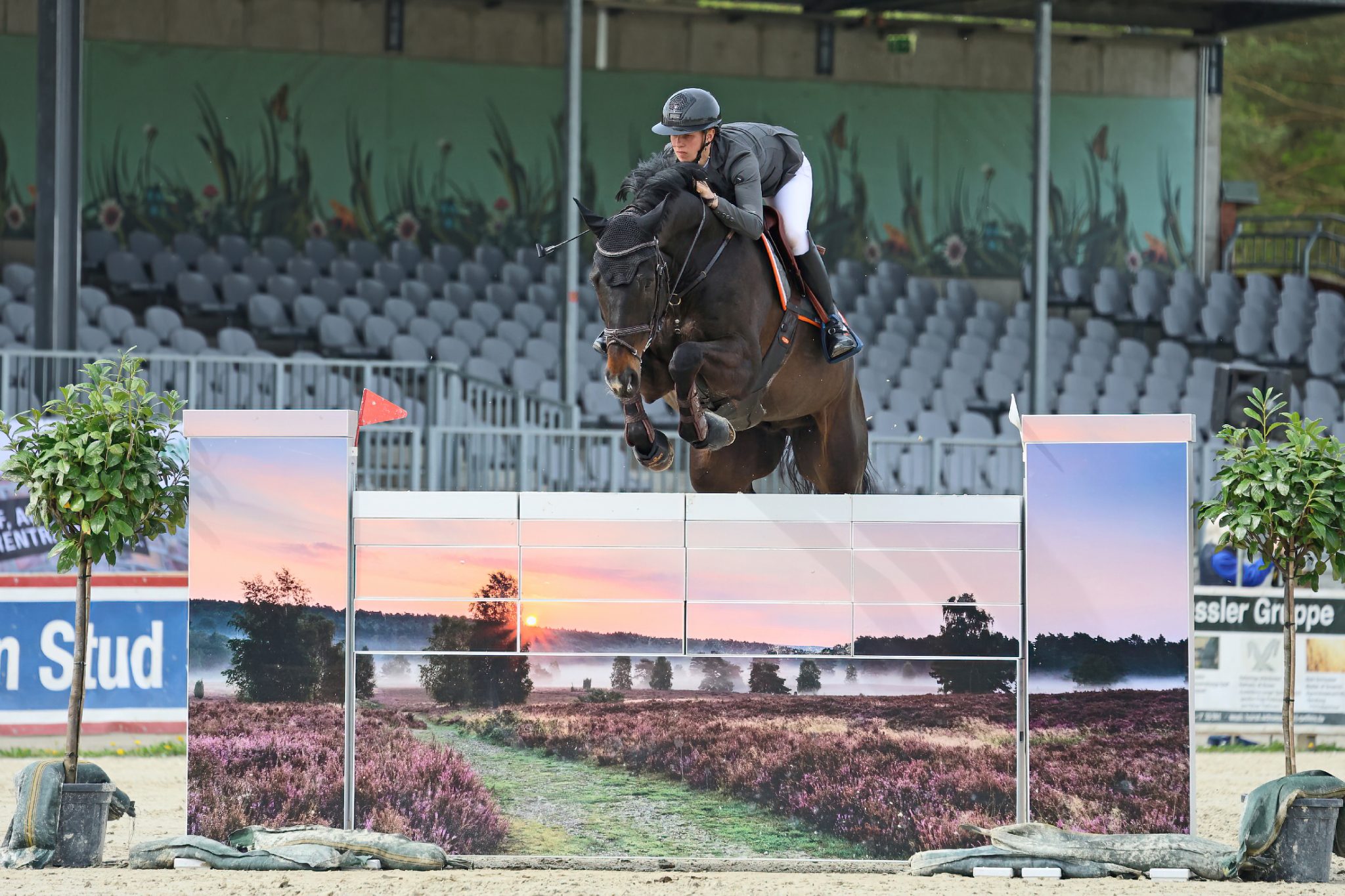 Sandra Auffahrt siegt auf Pferd aus familieneigener Zucht im S2 ...
