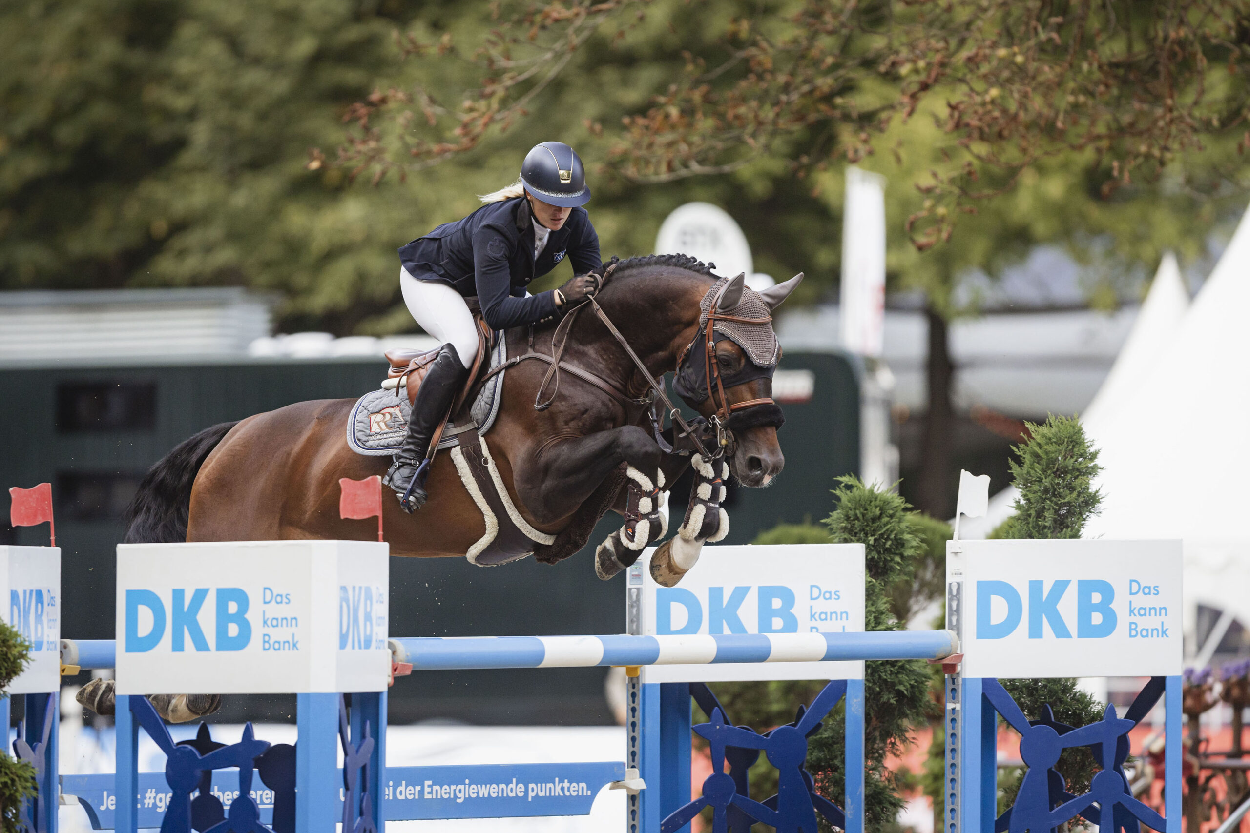 Der Sieg im Championat von Paderborn geht in die Niederlande – spring ...