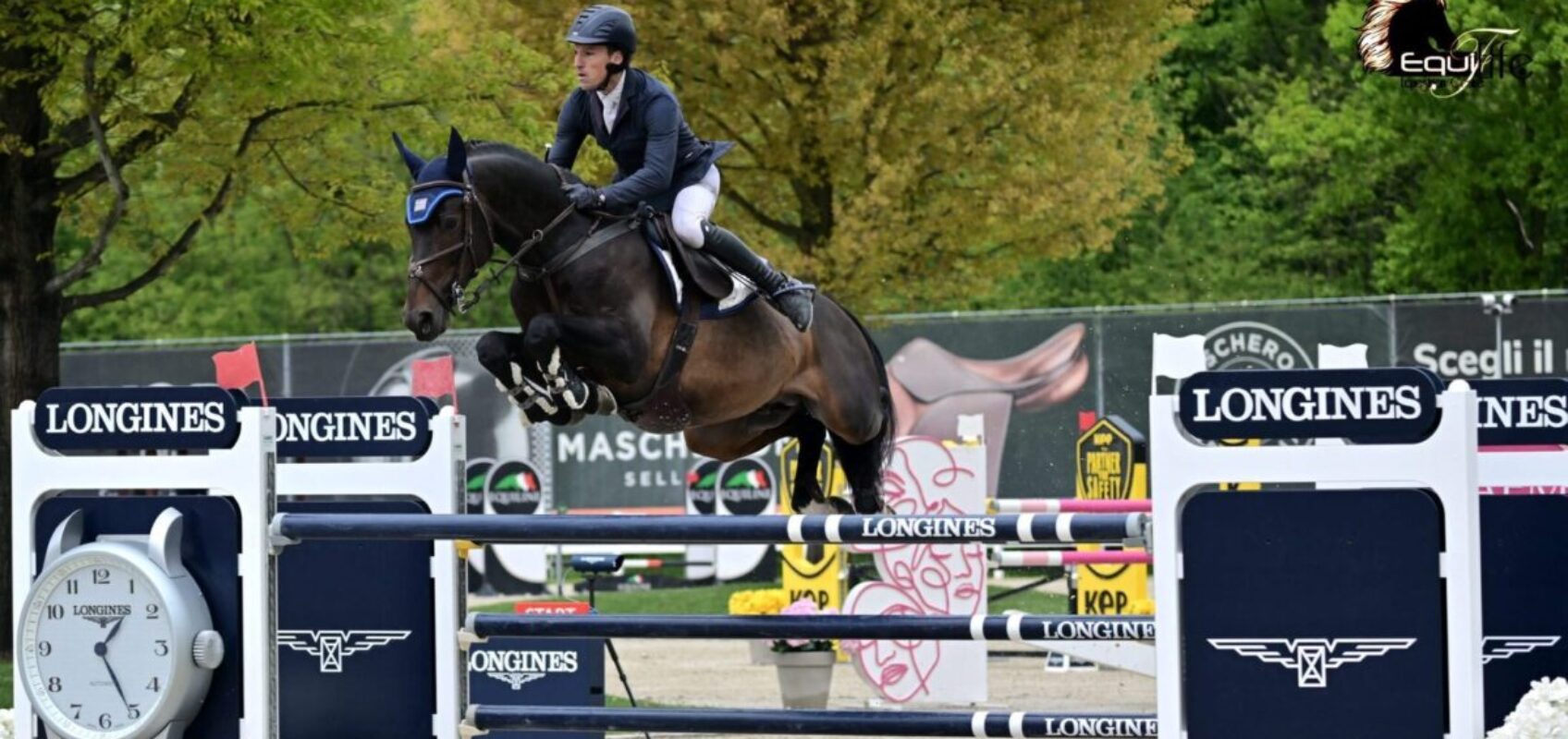 8-jähriger Holsteiner Kannandillo der Hengststation Rödl geht zu Harry ...