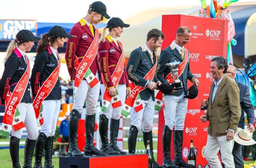 spring-reiter.de – Die ganze Welt des Springreitens