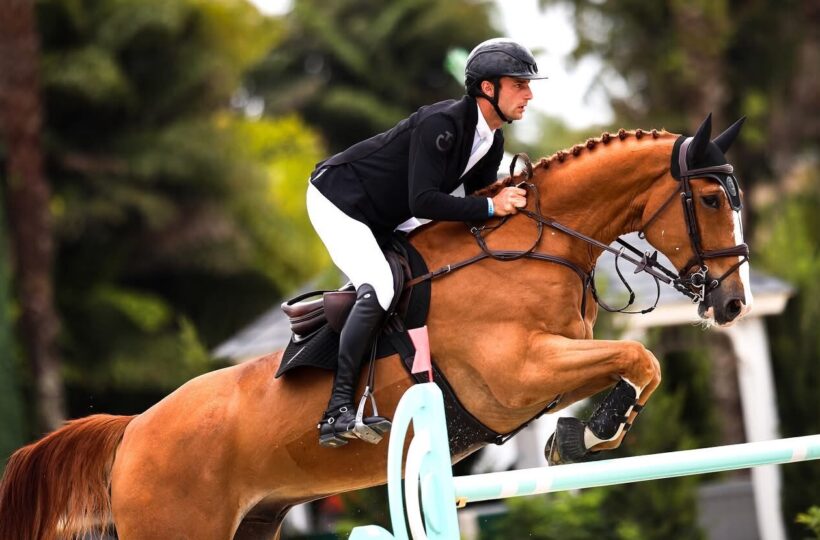 spring-reiter.de – Die ganze Welt des Springreitens